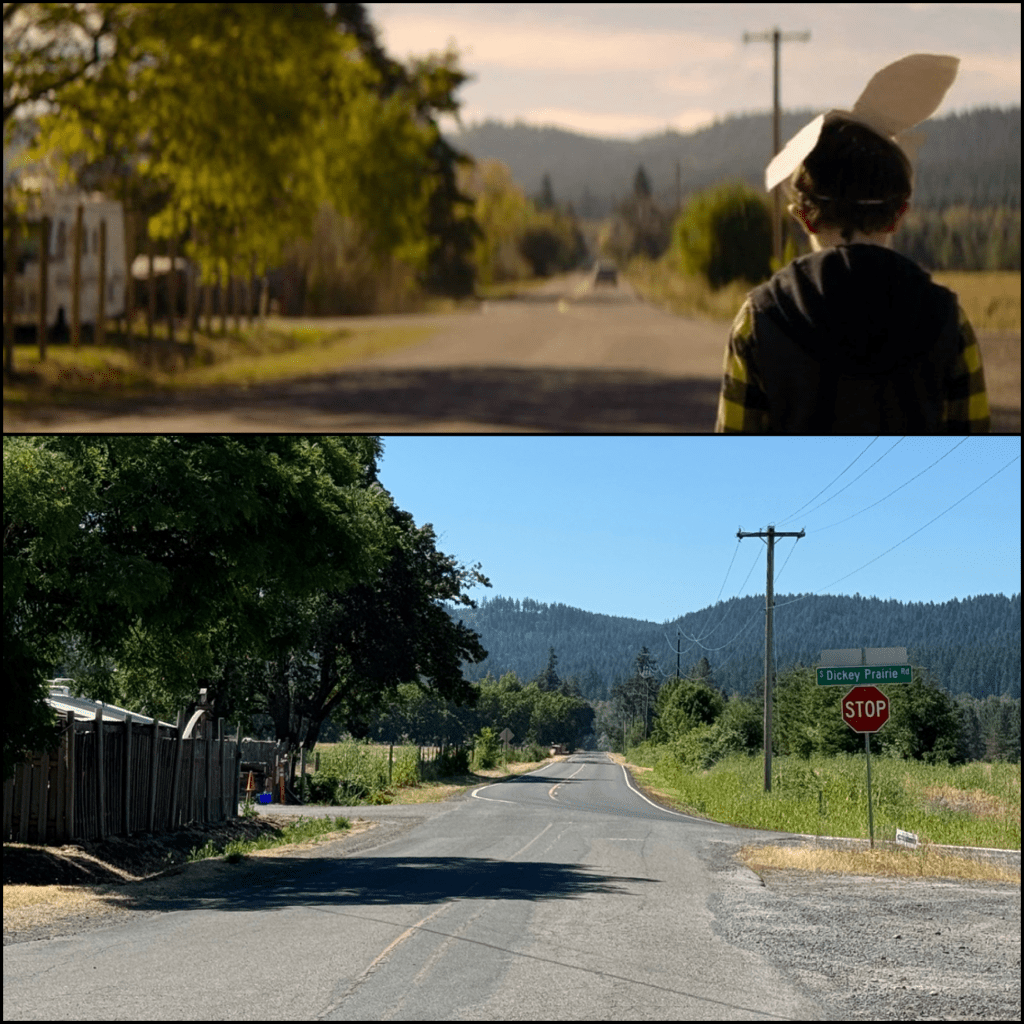 CABIN FEVER (2016) – Horror Explorer